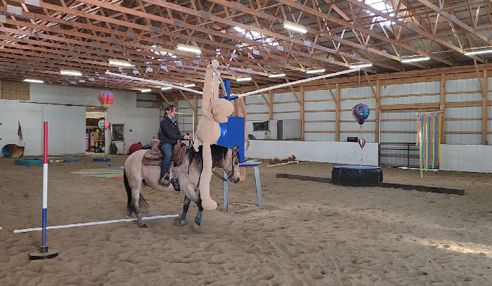 Attention 4-H Members: Easter Weekend Opportunity :: Sidney Hawk Equine